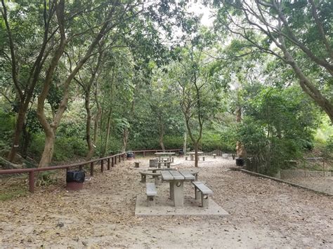 2024香港露營難地點推介｜41個官方郊野公園地點配套公開！新手必去荃錦營地大浪西灣南大嶼郊野公園 新浪香港