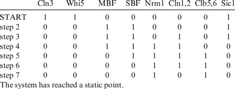 Of Boolean Model With Adjusted Parameter Strengths And Timescales