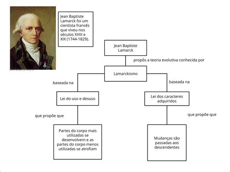 Mapas Mentais Sobre Lamarck Study Maps