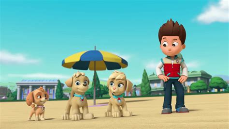 Щенячий патруль 9 сезон 13 серия Мега щенки спасают мега угря МатрёшкаТВ