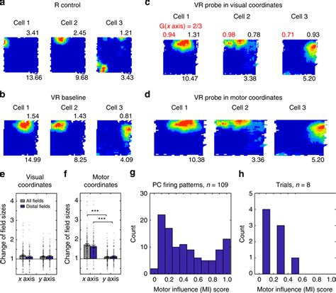 Place Cell Firing Patterns Under Visual Gain Decrease A B Three Place