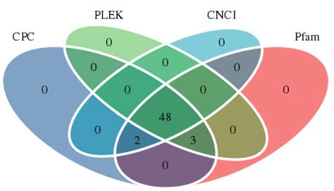Single Molecule Real Time Sequencing Of Full Length Transcriptome And Identification Of Genes