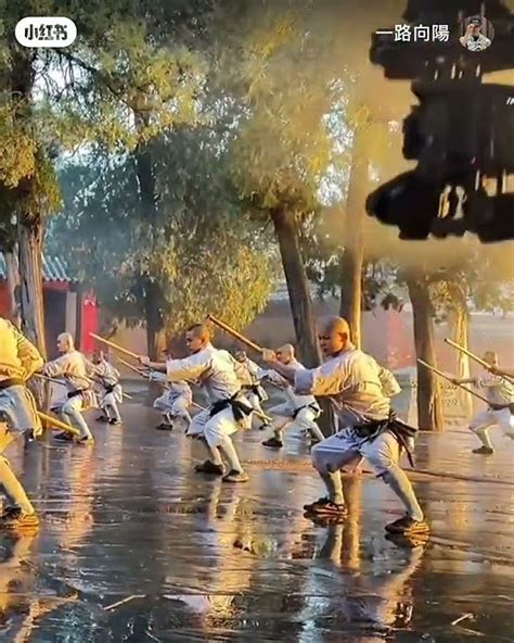 秋风 少林寺第34代武僧 法名延珩 来自小红书“一路向阳” Kungfu 秋风 少林寺 Youtube