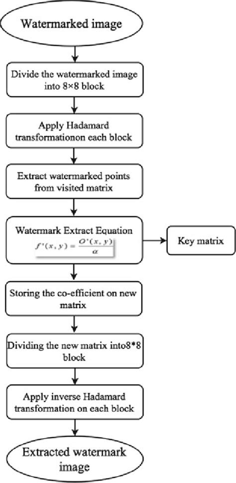Workflow Diagram Of Watermark Extraction Process Download Scientific