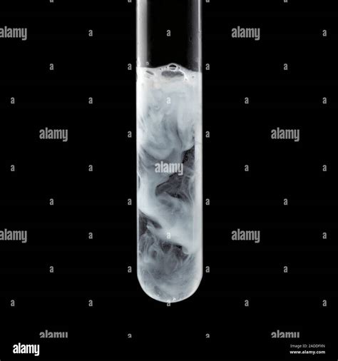 Calcium Reacting With Water Later Stage Calcium Metal Ca Reacts
