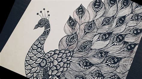 How To Draw Mandala Art For Beginners Peacock Mandala Doodle Zentangle