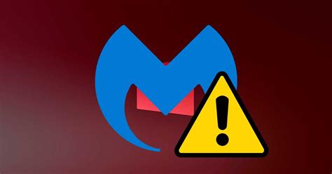 Bloqueos Y Reinicios Con Malwarebytes En Windows 10 2004