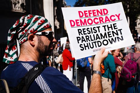 The Used Vulnerable Review Herolasopa