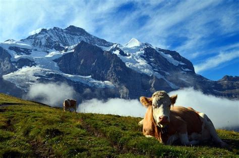 Backpacking Switzerland On A Budget How In 2021
