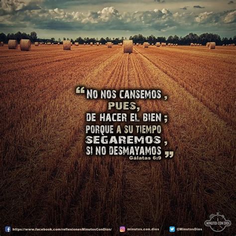Sin Cansarnos De Hacer El Bien Vineyard