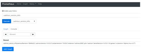 Cadvisor Prometheus收集本机和docker容器数据 阿里云开发者社区