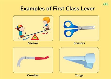 10 Everyday Examples Of First Class Levers In Action