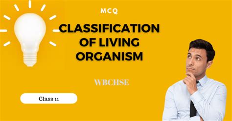 Important Mcq Of Classification Of Living Organisms Class 11 With Answer