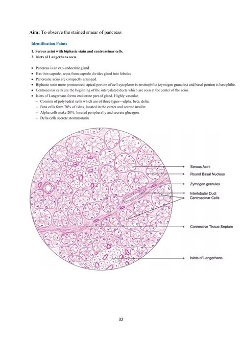 Histology Lab Manual PDF