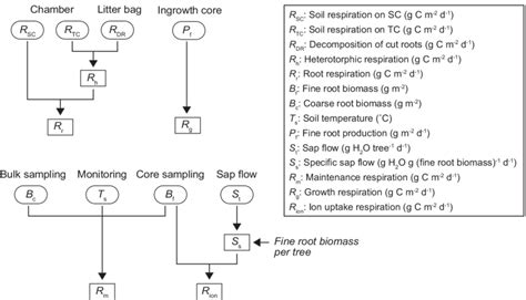 workflow of data preparation for model parameterization download