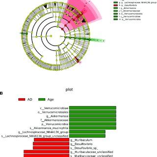 Linear Discriminant Analysis LDA Integrated With Effect Size LEfSe