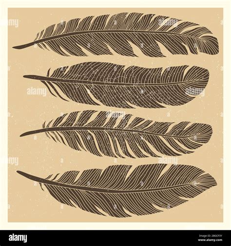 Set Of Grunge Vintage Bird Feathers Design Isolated On Background