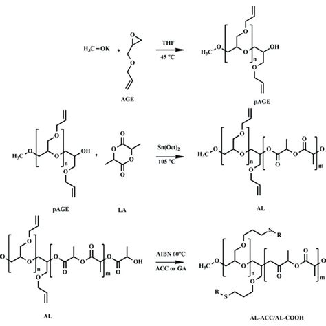 A Synthesis Scheme Of Jasmine Lactone Block Copolymer Via Download Scientific Diagram