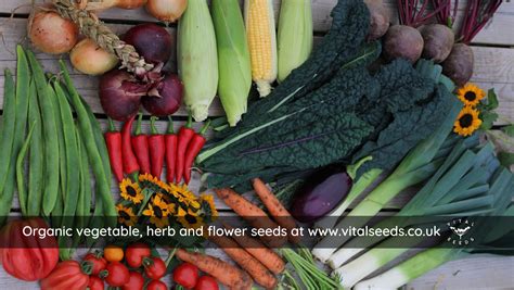 The Naturally Vegan Plot Added The Naturally Vegan Plot
