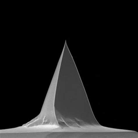 Atomic Force Microscopy Afm Probes Products Afm Workshop