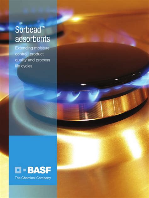 Sorbead 1 Pdf Adsorption Physical Sciences