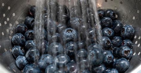 საჭიროა თუ არა მოცვის გარეცხვა გაყინვამდე და რა ფორმით ჯობია მისი ზამთრისთვის შენახვა