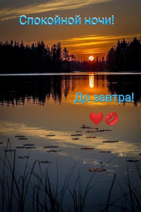 Пин от пользователя Mvmlop1 на доске поздравление Ночь Тихая ночь Счастливые картинки