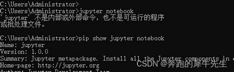 【python】在python3下安装 Jupyter Notebook，报错removestalecontenttypespyi‘ 报错 ‘jupyter‘ 不是内部或外部命令，也不是