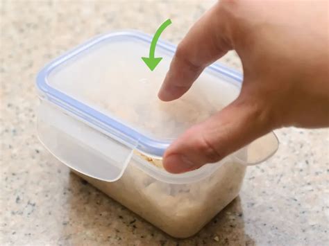 Comment Conserver Loignon Plus Longtemps Le Guide Complet