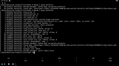 Kernelsu Doesnt Work And Show Prctl Reply Error · Issue 33 · Tiann