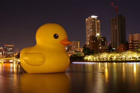 Images About Rubber Duck On Pinterest The Giants Desk Calendars And Ducks