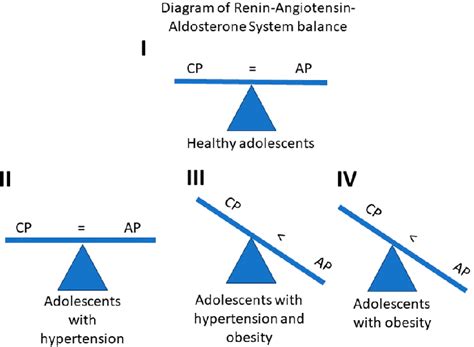 Figure 5 From Classical And Alternative Pathways Of The Renin