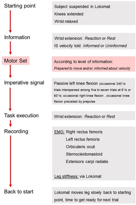 Sequence Of Events For A Representative Trial Of The Main Block Block 2 Download Scientific