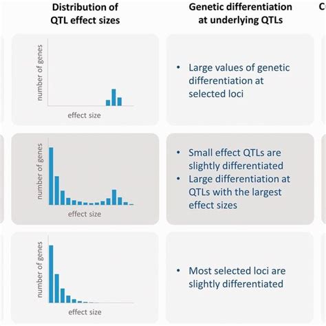 The Consequence Of The Genetic Architecture Of An Adaptive Trait On Our Download Scientific