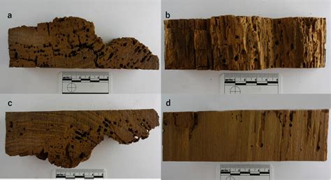 Block 1b Showing The Reverse Faces On The Top And Bottom Rows