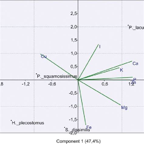 Factorial Plot Resulting From Principal Component Analysis Of Mineral Download Scientific