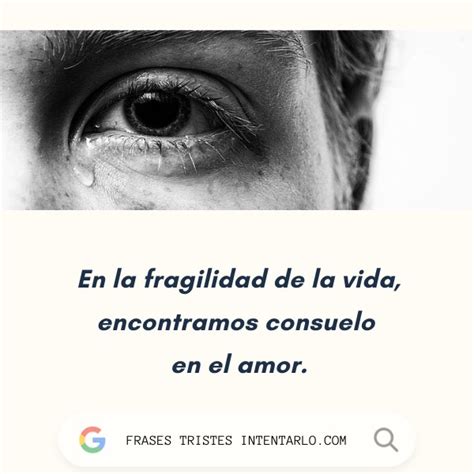 25 Frases De Pésame Y Condolencia Dar Apoyo En El Duelo