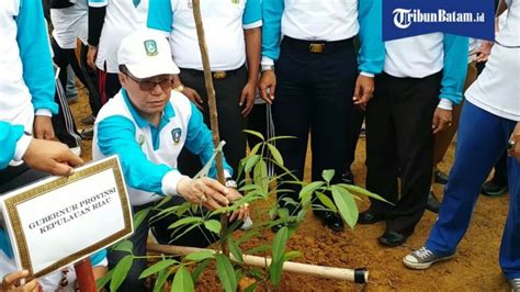 Hari Menanam Pohon Indonesia Dinas LHK Kepri Tanam Bibit Pohon Di KHL Sungai Pulai