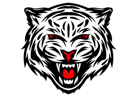 Harimau Gambar Harimau Putih Gambar Png Images And Photos Finder