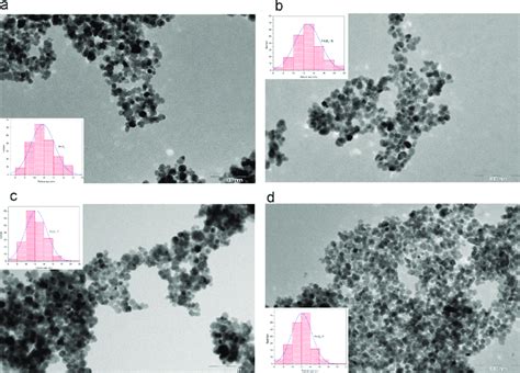 TEM Images Of A Fe 3 O 4 MNPs B Sodium Citrate Modified Fe 3 O 4