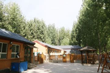 爱思嘉宠物 北京思嘉宠物驯养技术发展有限公司 专业狗狗寄养狗狗训练服务