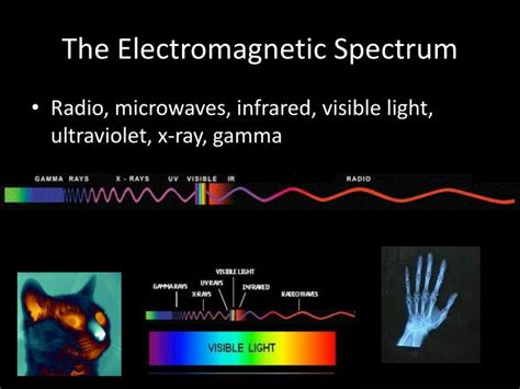 Ppt The Electromagnetic Spectrum Powerpoint Presentation Free