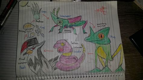 Pokemon Food Chain Xd By Kzvalentine4777 On Deviantart