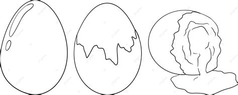Rustic Vector Illustration Of Handdrawn Eggs Scrambled Omelet And
