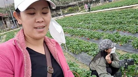 Strawberry Farm Kamtin Yuen Longmadelyn Quilang Youtube