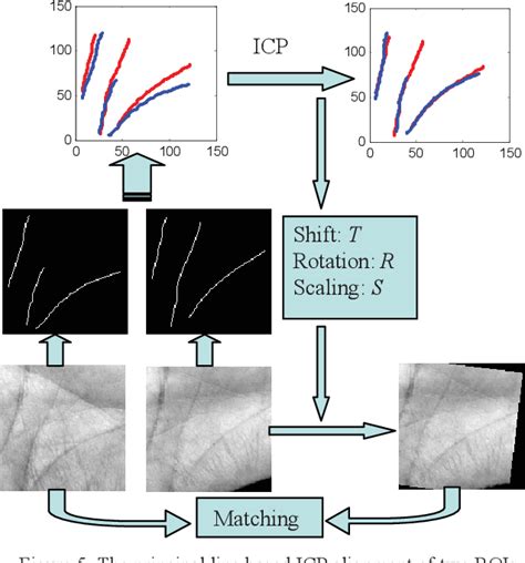 Figure 1 From Principal Line Based Icp Alignment For Palmprint Verification Semantic Scholar
