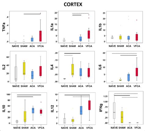 Individual Regional Cytokine Profile In Cortex At 3 Hours After 10