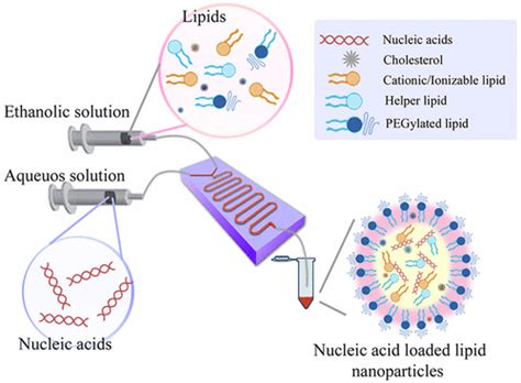 Acs Applied Bio Materials X Mol