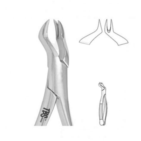 Forceps 88r De Extracción Para Molares Superiores Derecho En Laleo