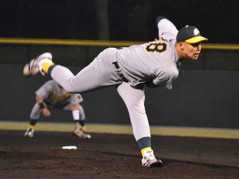 ロッテd1位の専大・菊地吏玖は十一回途中で降板 優勝はお預けに／東都2部 イザ！